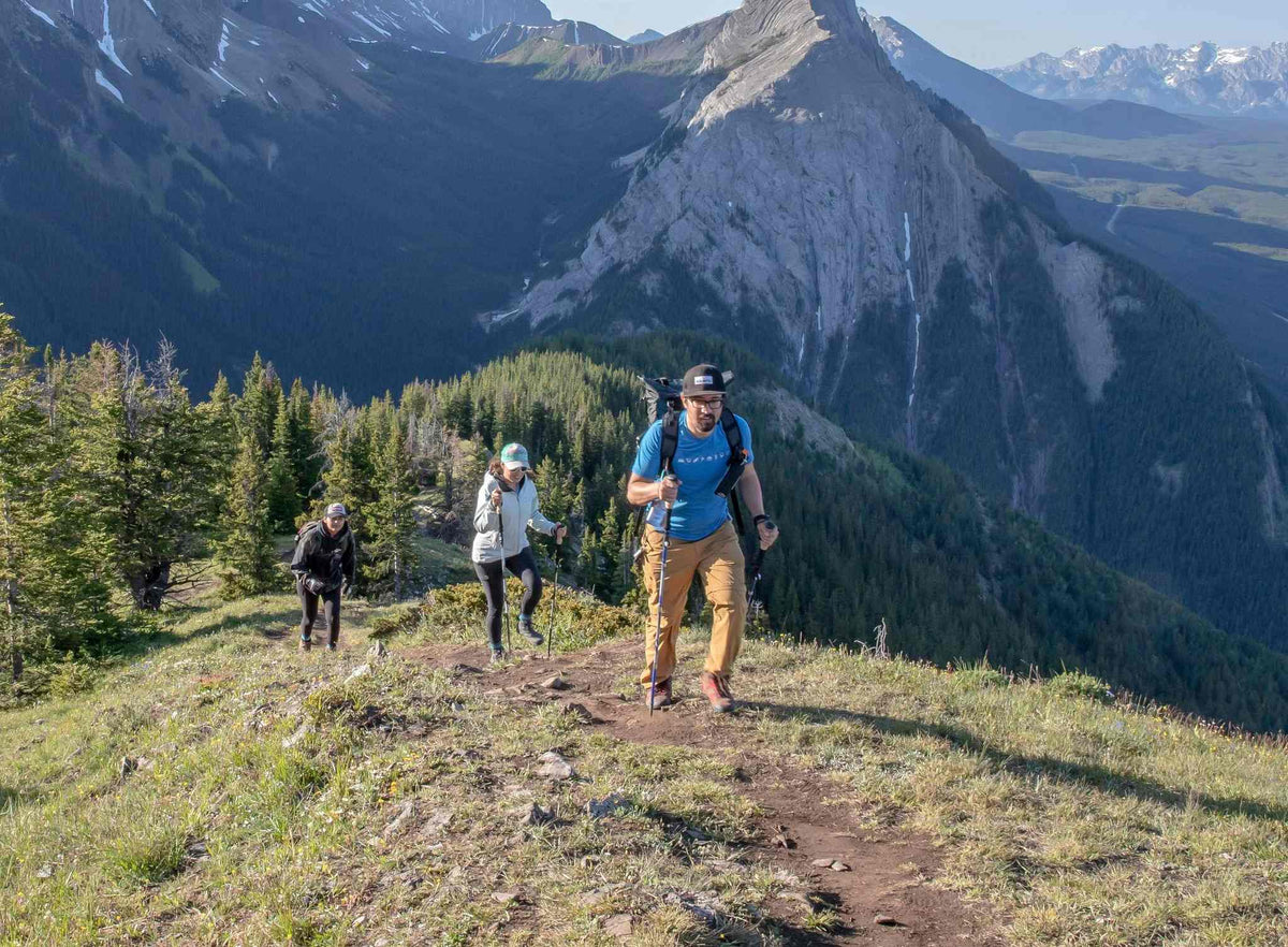 Do walking sticks help with knee pain? — TREKOLOGY